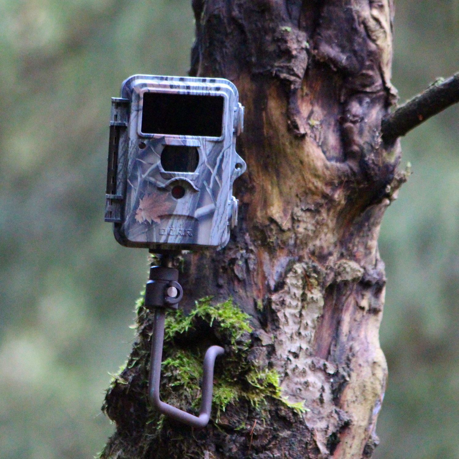 Dörr - Wildkamera - SnapShot Mini - Black 5.0 | JagdFIEBER.com